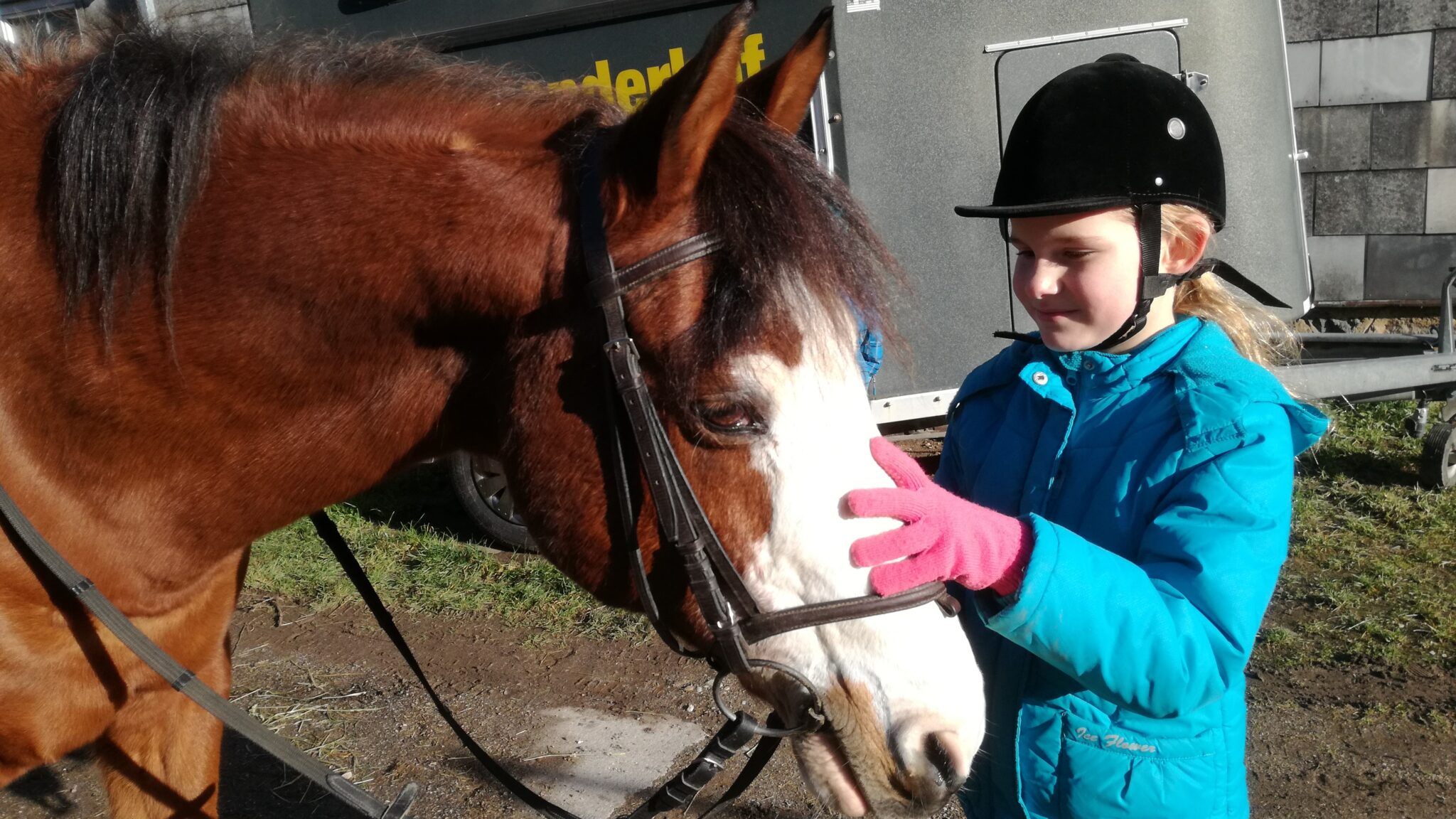 Heilpädagogische Förderung Mit Dem Pferd Bei Down- Syndrom – EEHHG